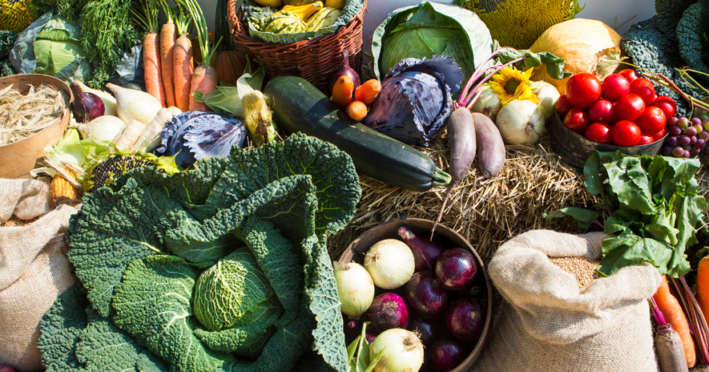 Crops - farmnamibia.com