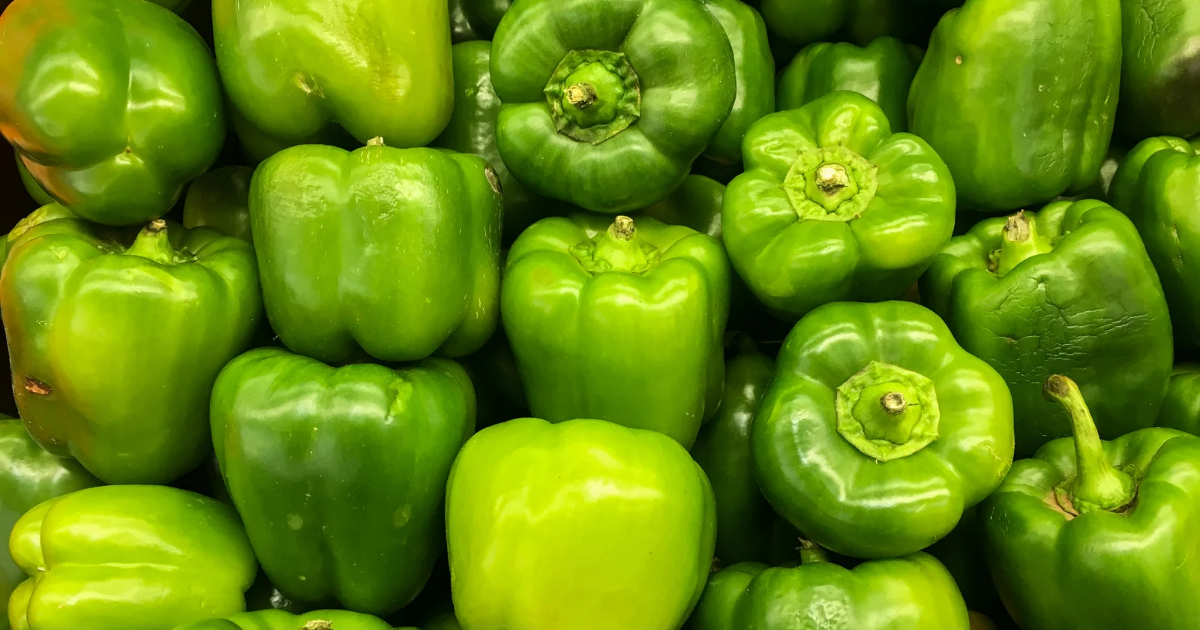 How to Grow Green Peppers in Namibia 2026 - farmnamibia.com